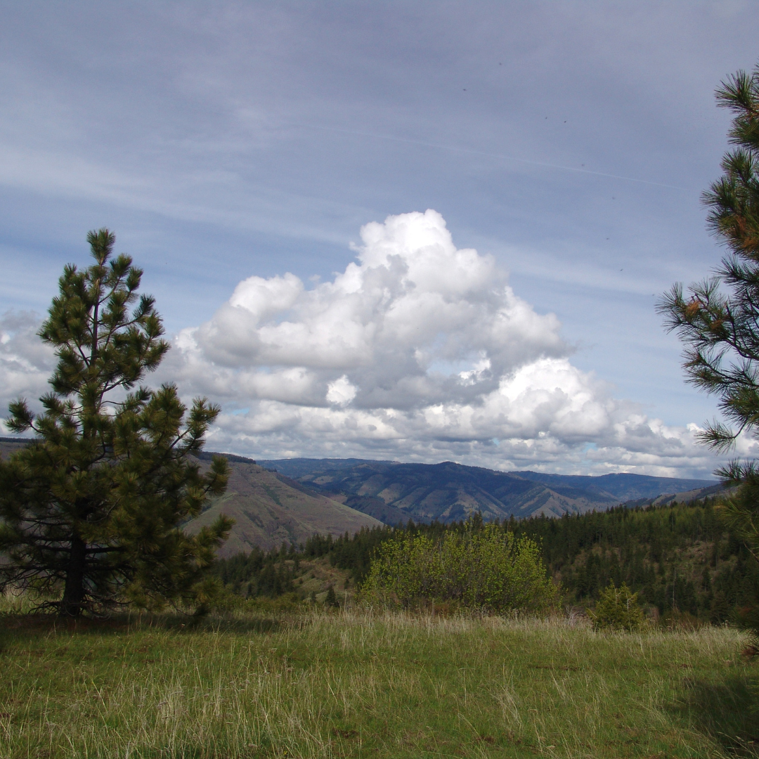 Travel Pendleton - Experience Family Fun - Pendleton Oregon